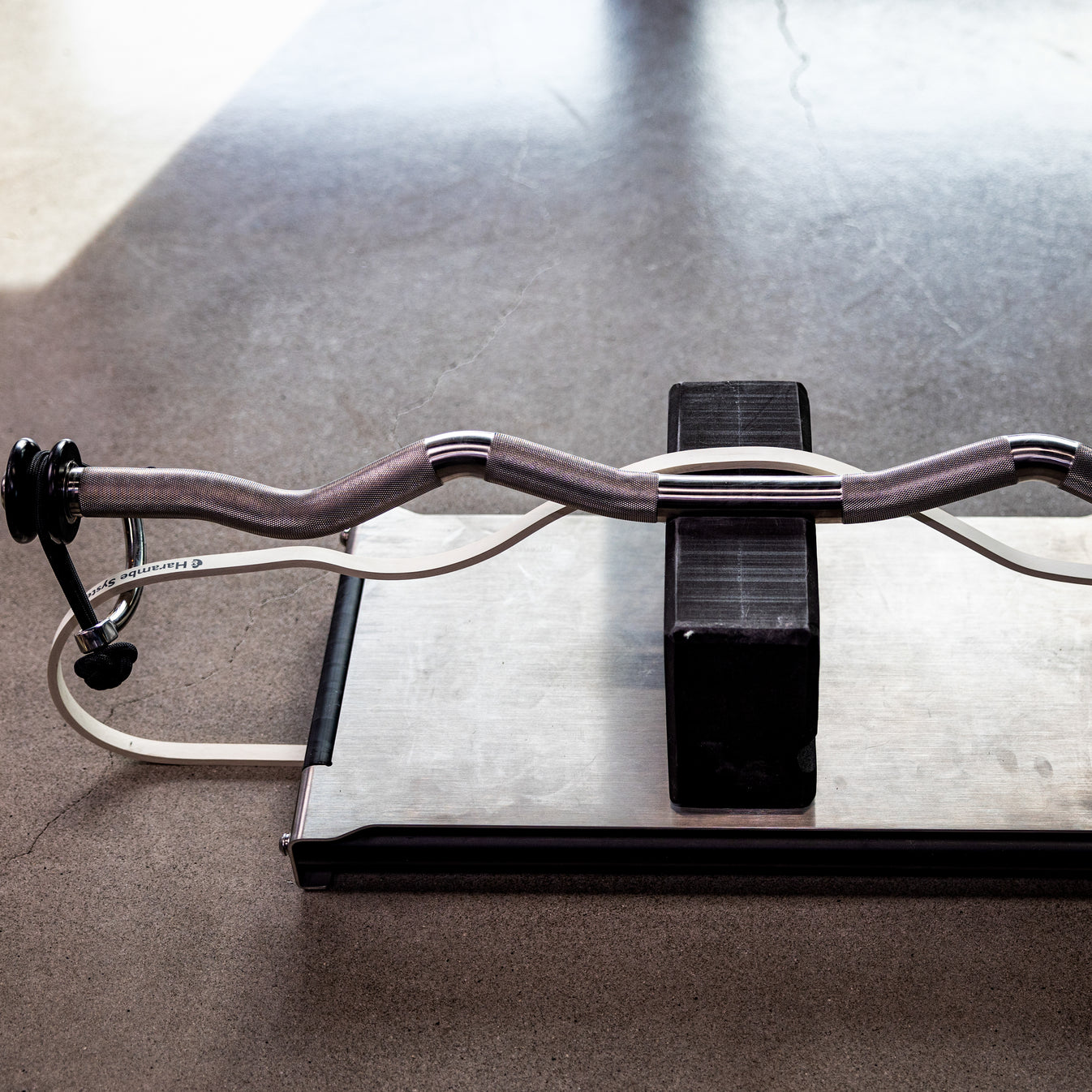 Arm Bar – Harambe System