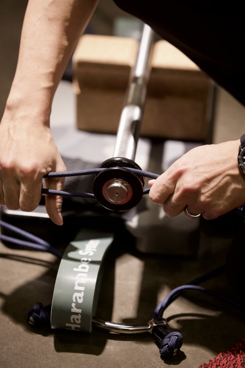 Rope – Harambe System